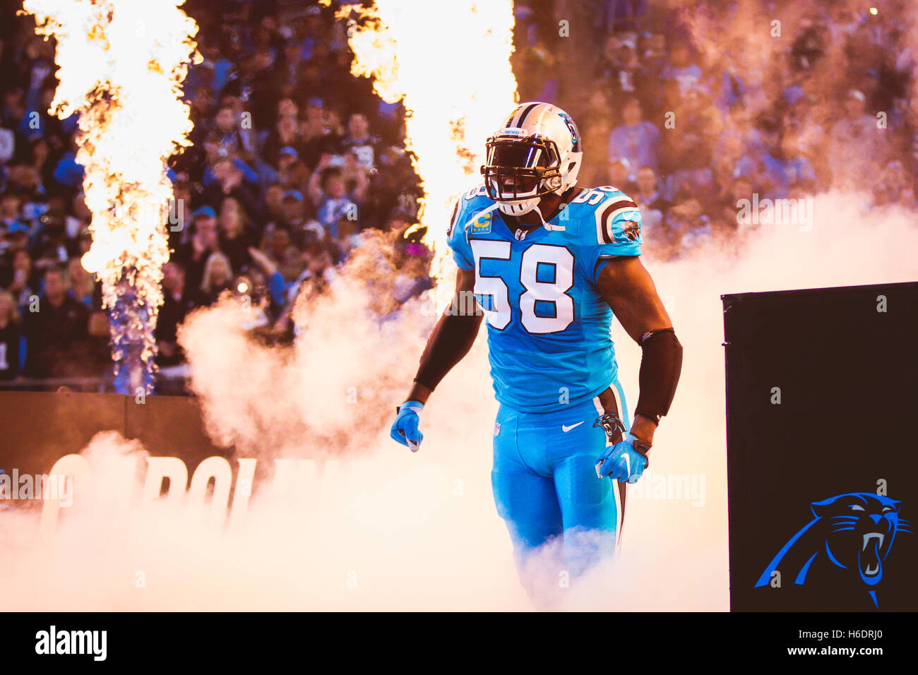 Charlotte, North Carolina, USA. 17th Nov, 2016. Carolina Panthers ...