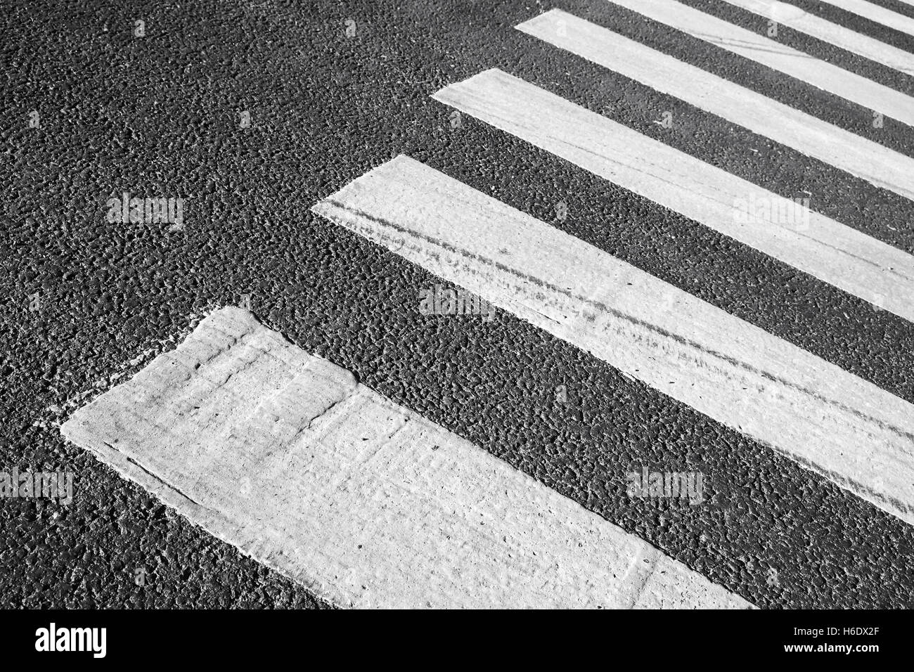 Pedestrian crossing road marking zebra, white stripes over gray asphalt ...