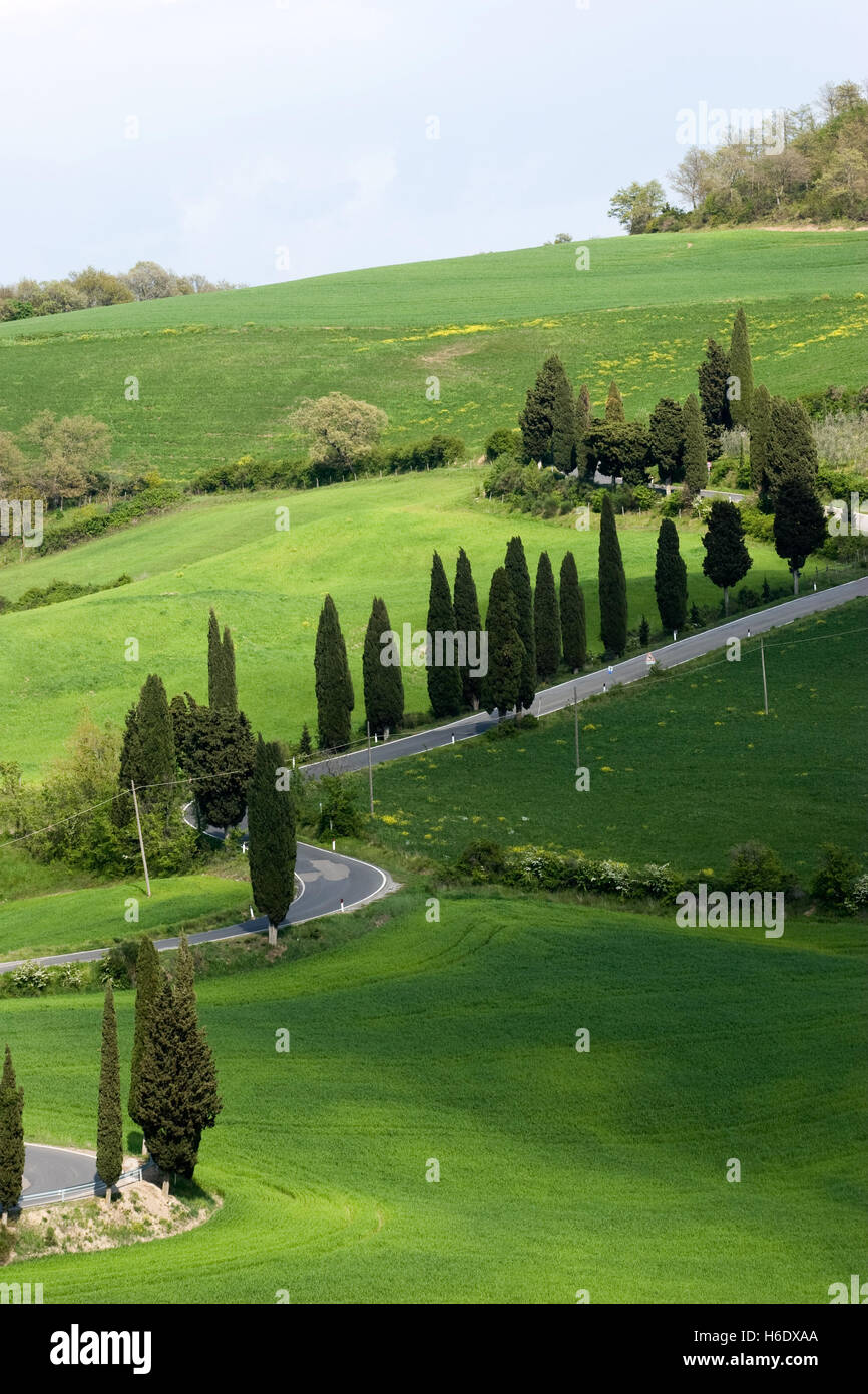 tuscany countryside near siena in italy Stock Photo - Alamy