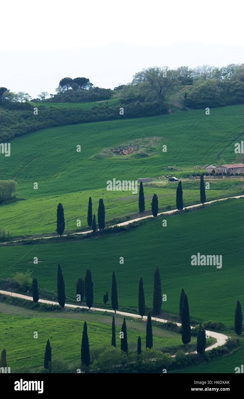 tuscany countryside near siena in italy Stock Photo - Alamy