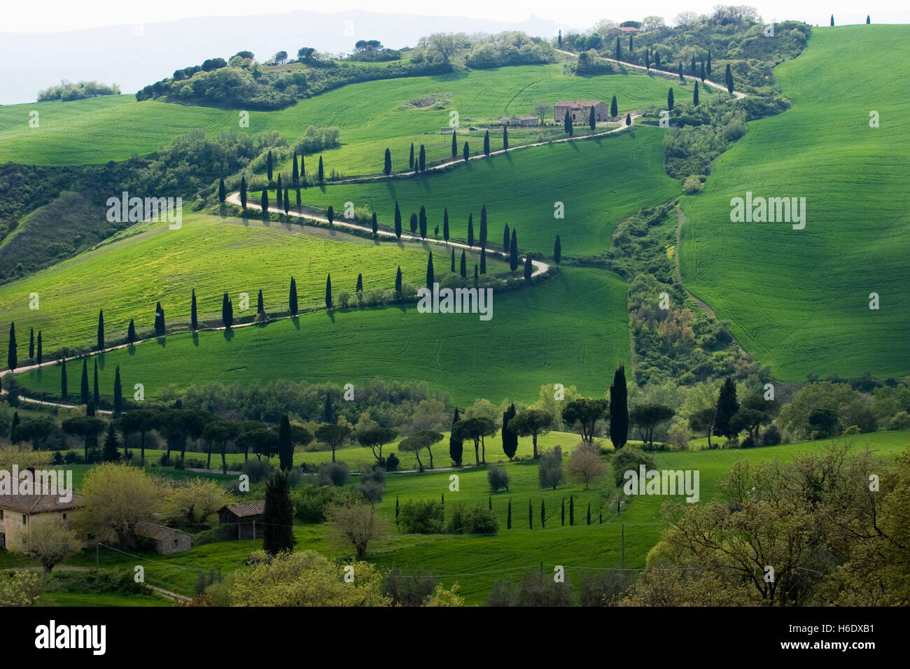 tuscany countryside near siena in italy Stock Photo - Alamy