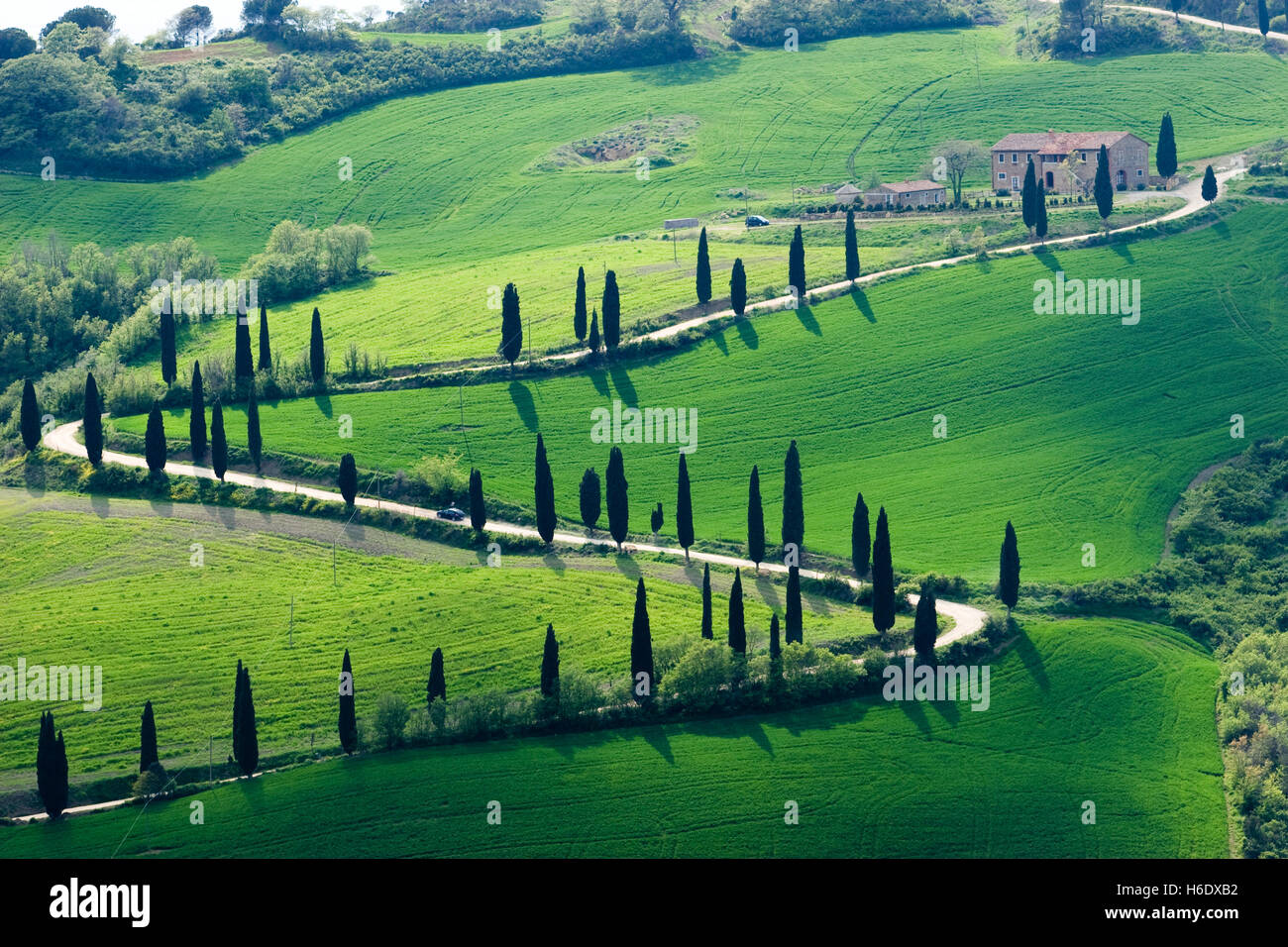 tuscany countryside near siena in italy Stock Photo - Alamy