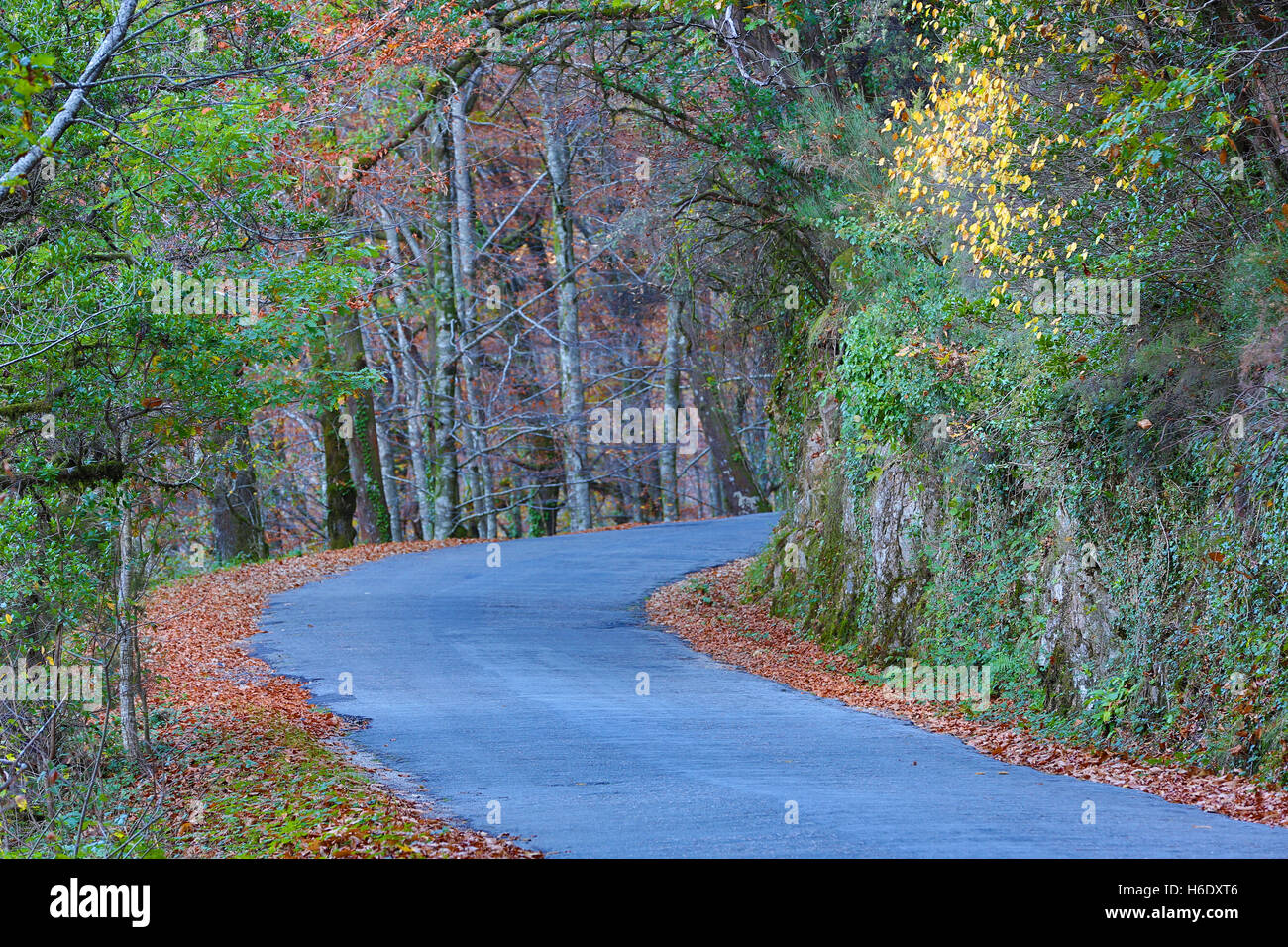 Autumn landscape with road and beautiful colored trees, in Geres ...