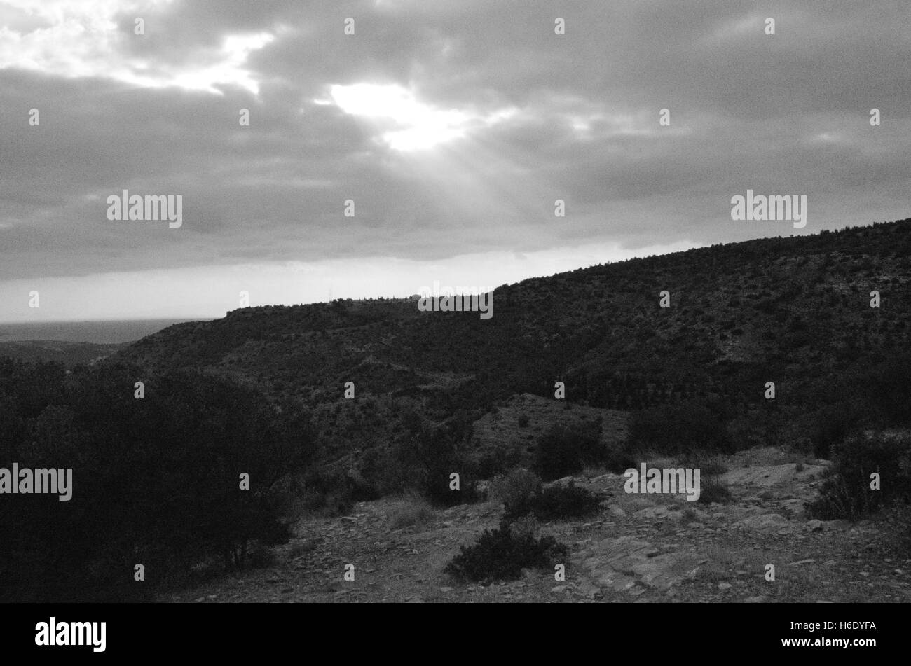 Athens greece sports Black and White Stock Photos & Images - Alamy