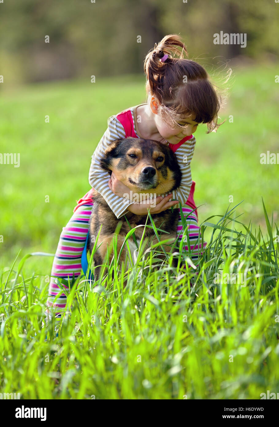 Happy little girl riding her dog on the field Stock Photo - Alamy