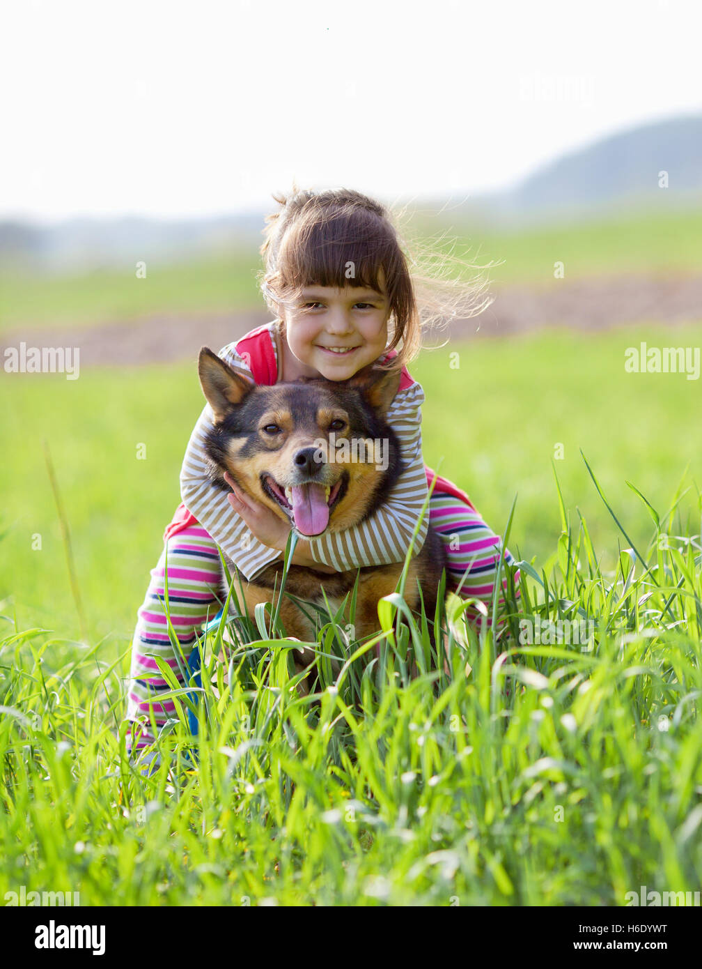 Happy little girl riding her dog on the field Stock Photo - Alamy