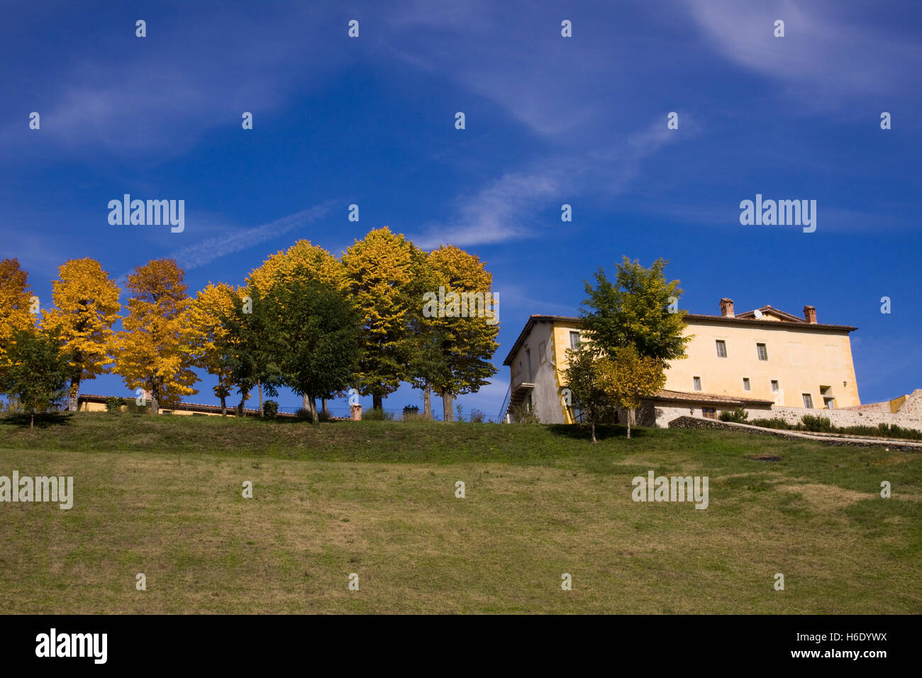 italian countryside near siena, tuscany Stock Photo - Alamy