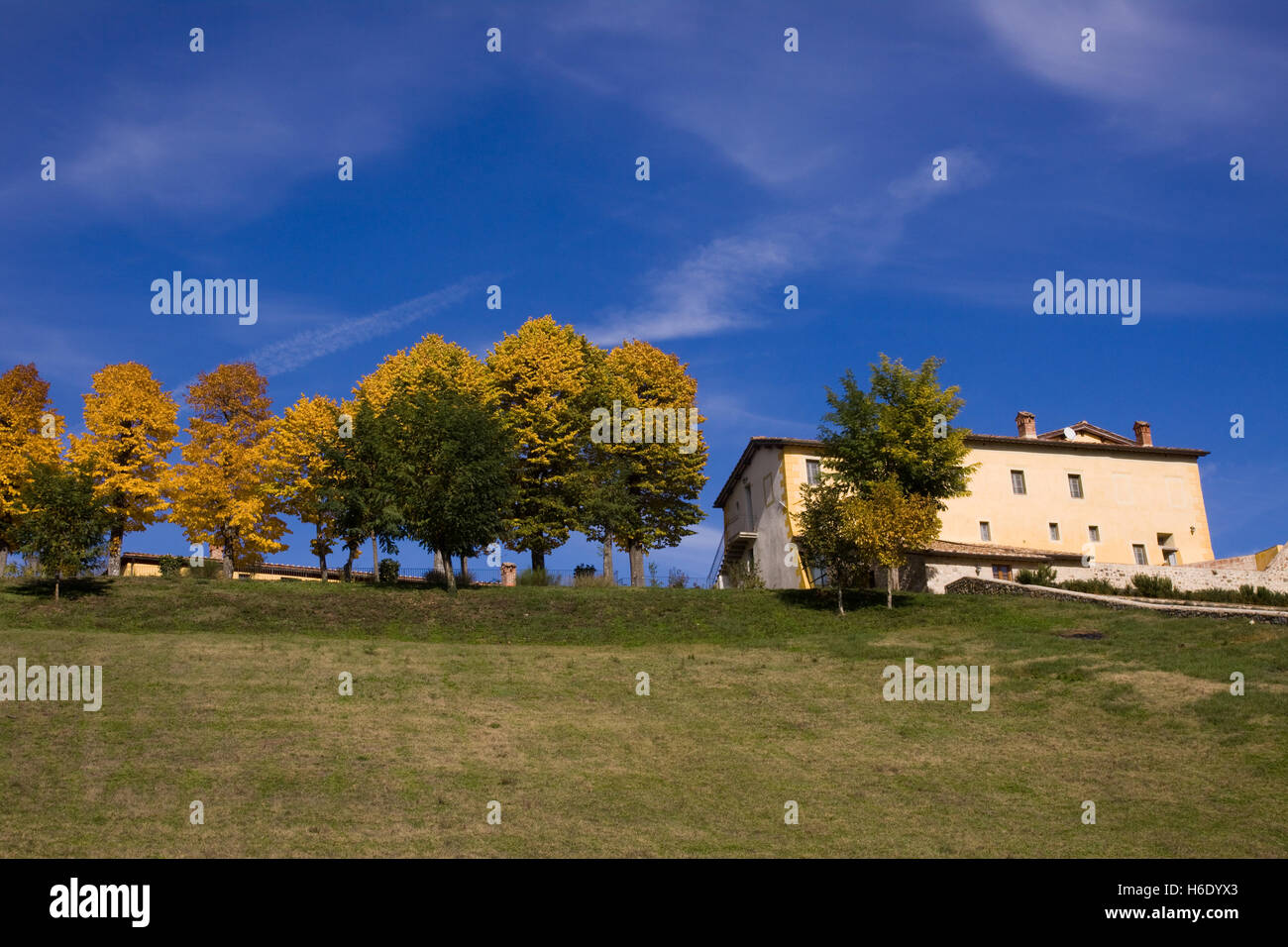 italian countryside near siena, tuscany Stock Photo - Alamy