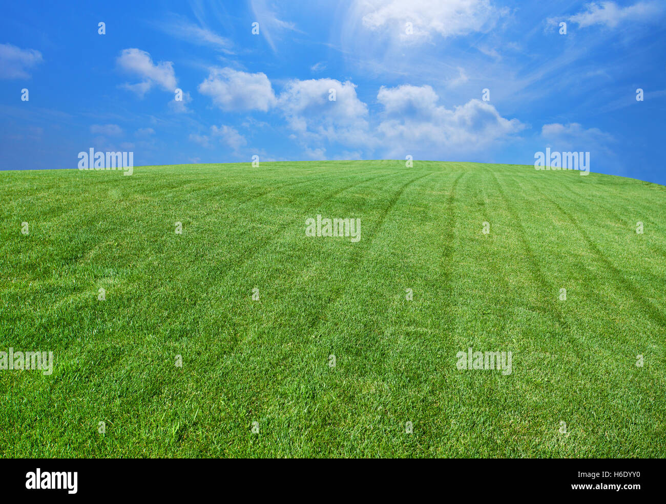 Green lawn with blue sky Stock Photo - Alamy
