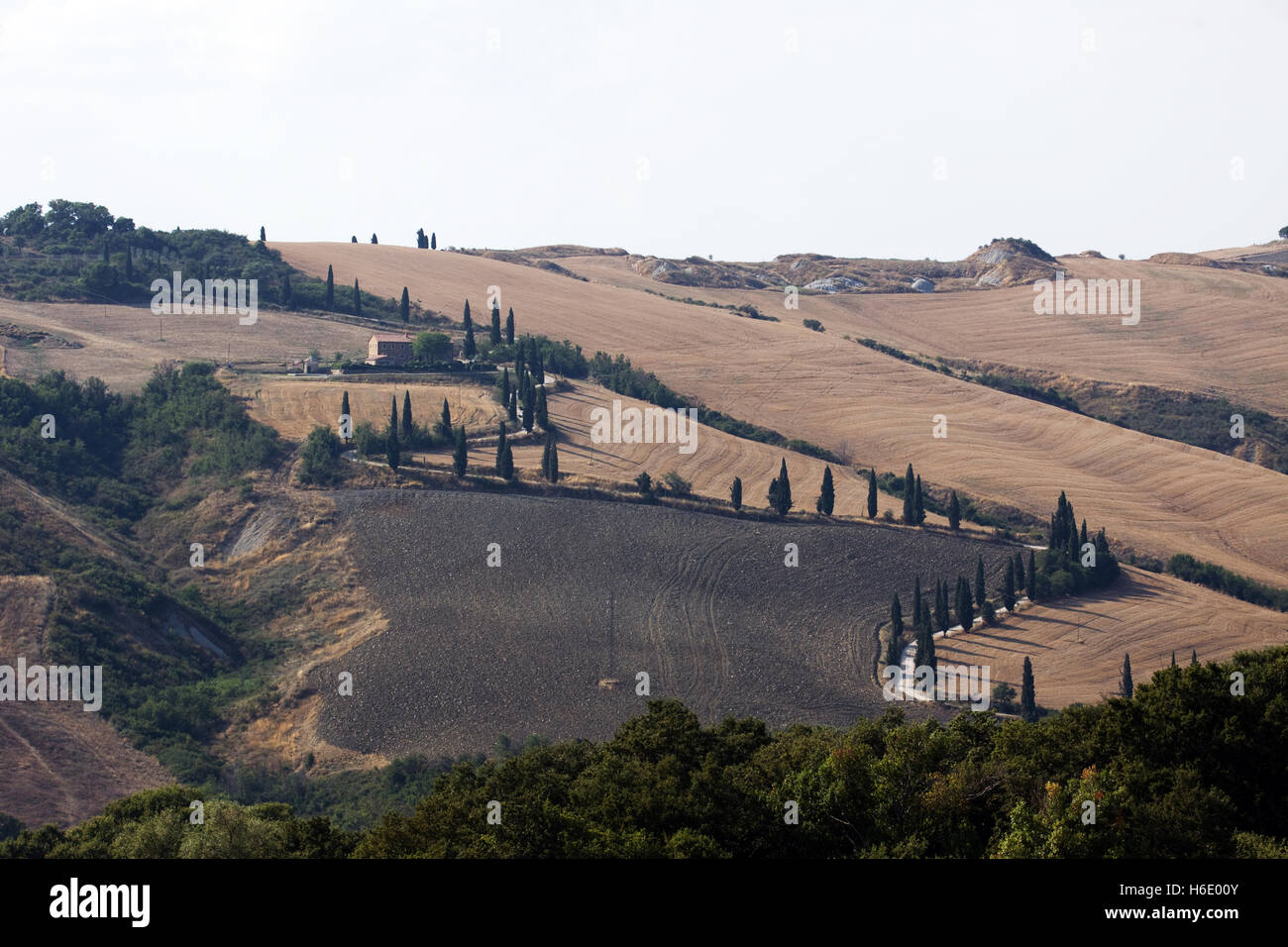 italian countryside near siena, tuscany Stock Photo - Alamy