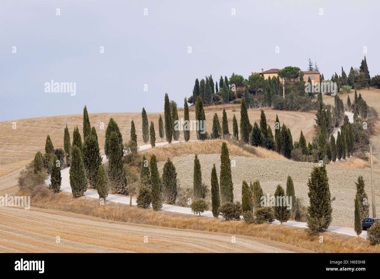 nature of tuscany during the summer season near siena italy Stock Photo ...