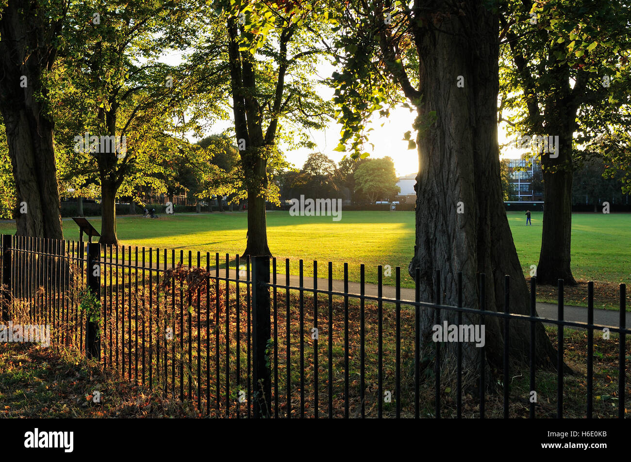 Markfield Park in Seven Sisters, South Tottenham, North London, in the ...