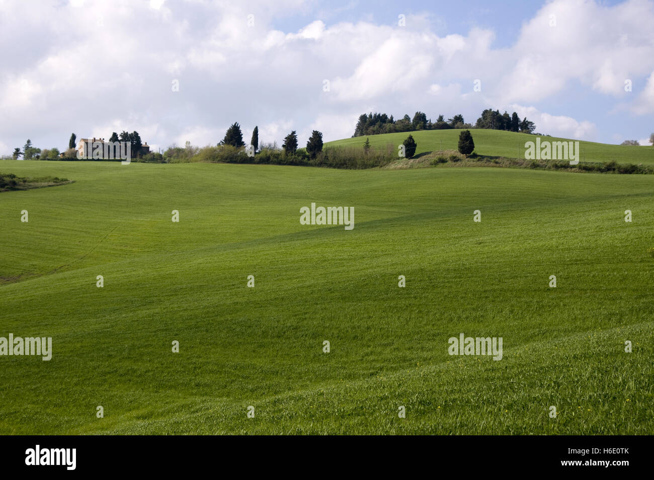tuscany landscaper during the spring season Stock Photo - Alamy