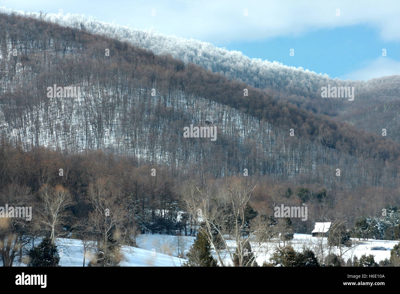 Virginia, USA. Winter in the Blue Ride Mountains, with farm in the ...