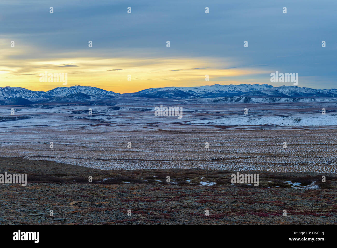 Arctic tundra hi-res stock photography and images - Alamy