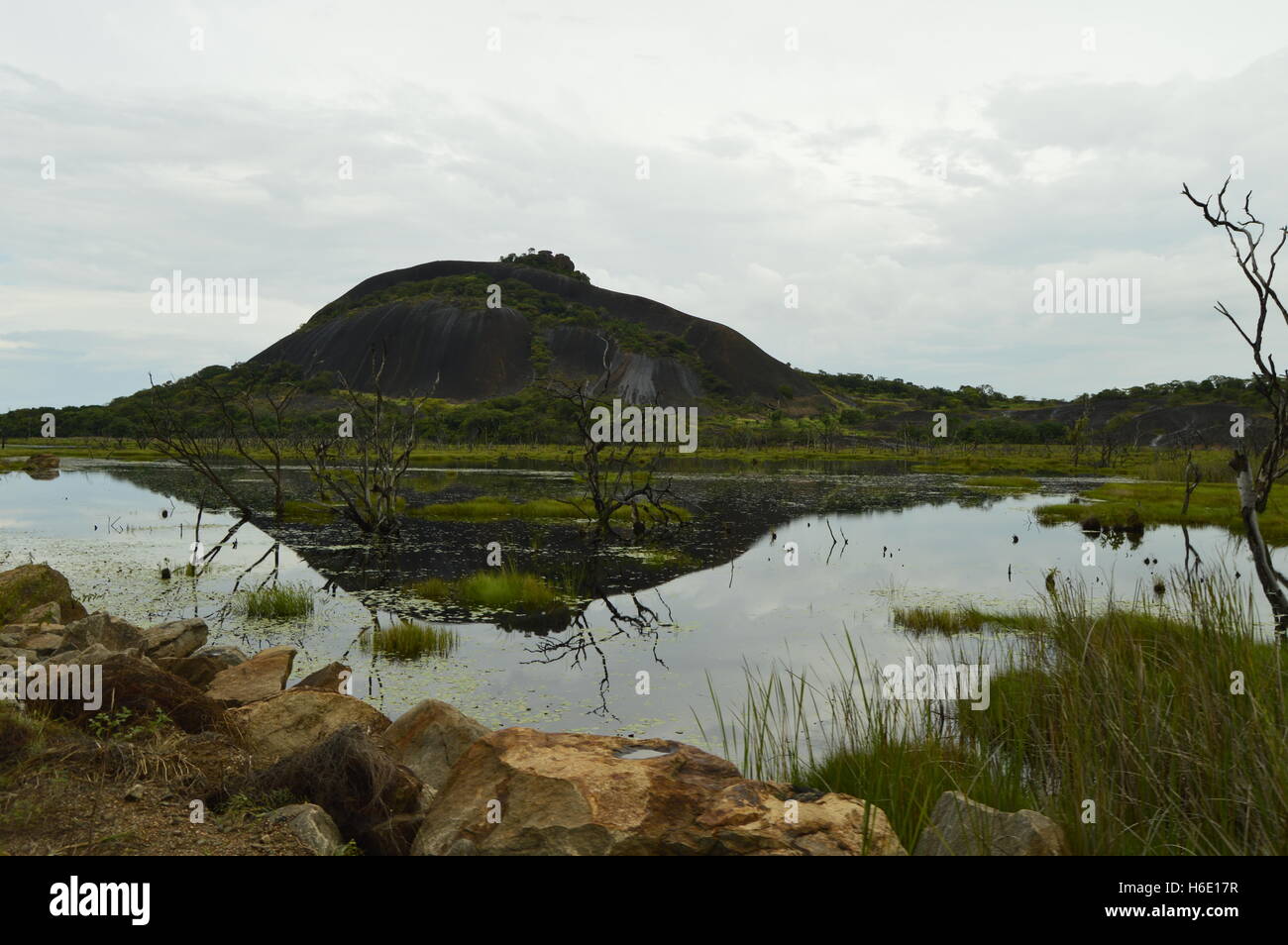 Stone Elephant, Venezuela Stock Photo - Alamy