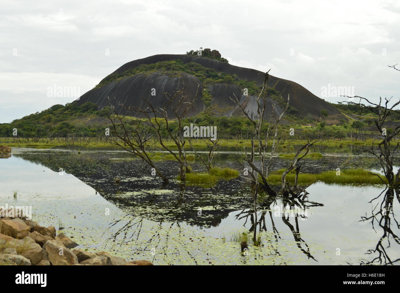 Rock Elephant, Venezuela Stock Photo - Alamy