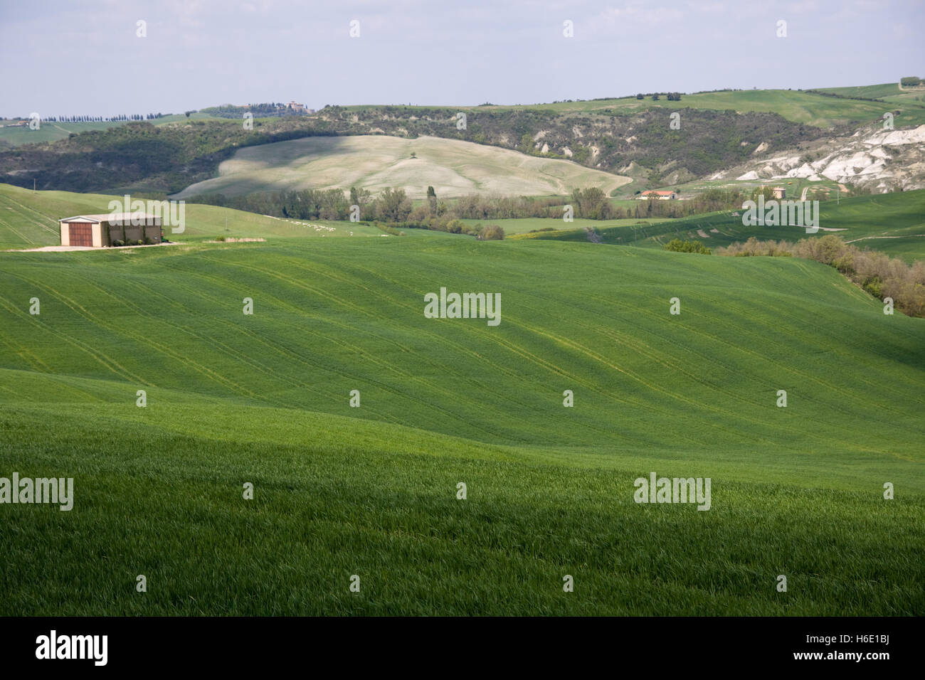 tuscany landscaper during the spring season Stock Photo - Alamy