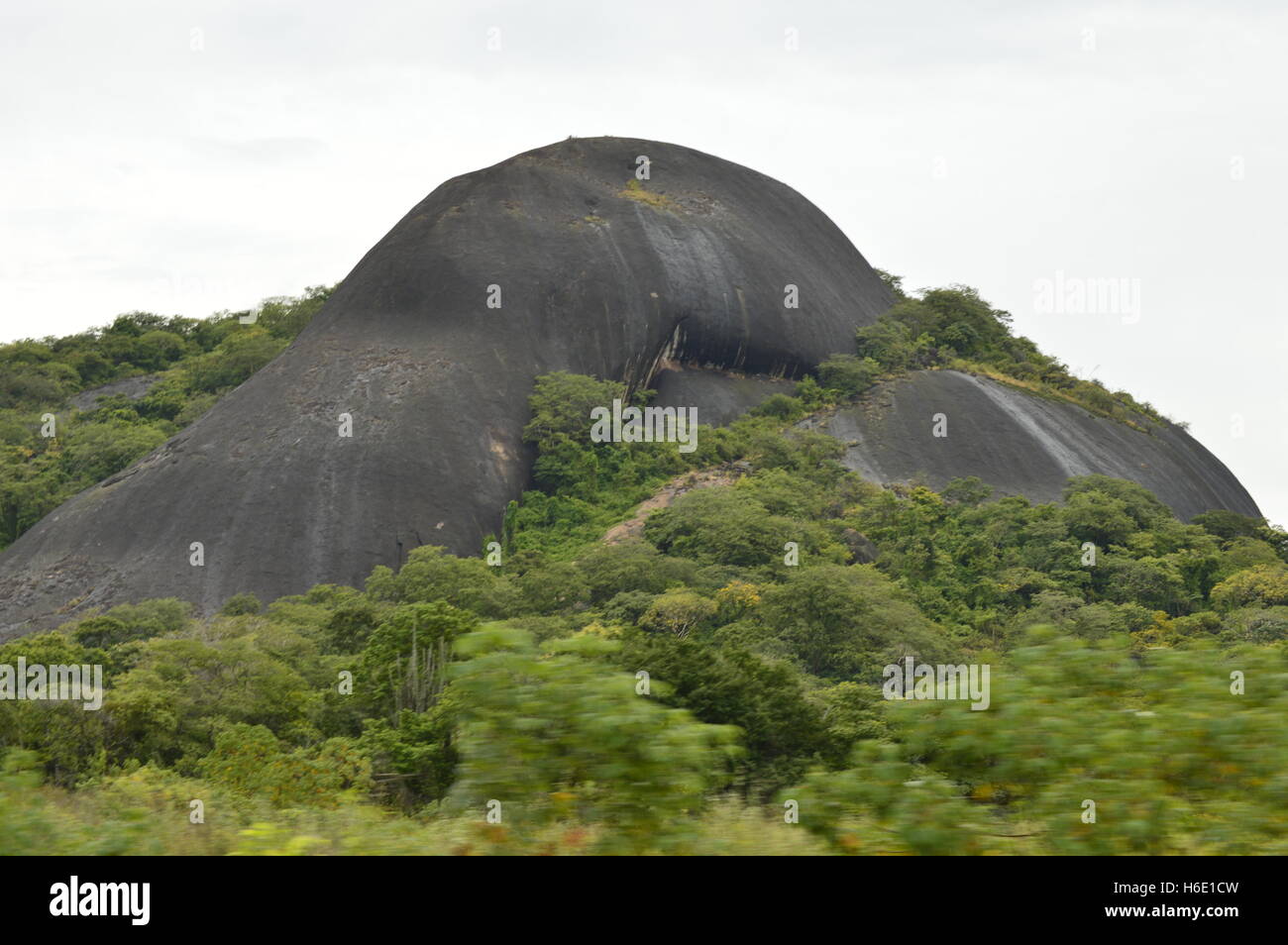 Stone Elephant, Venezuela Stock Photo - Alamy