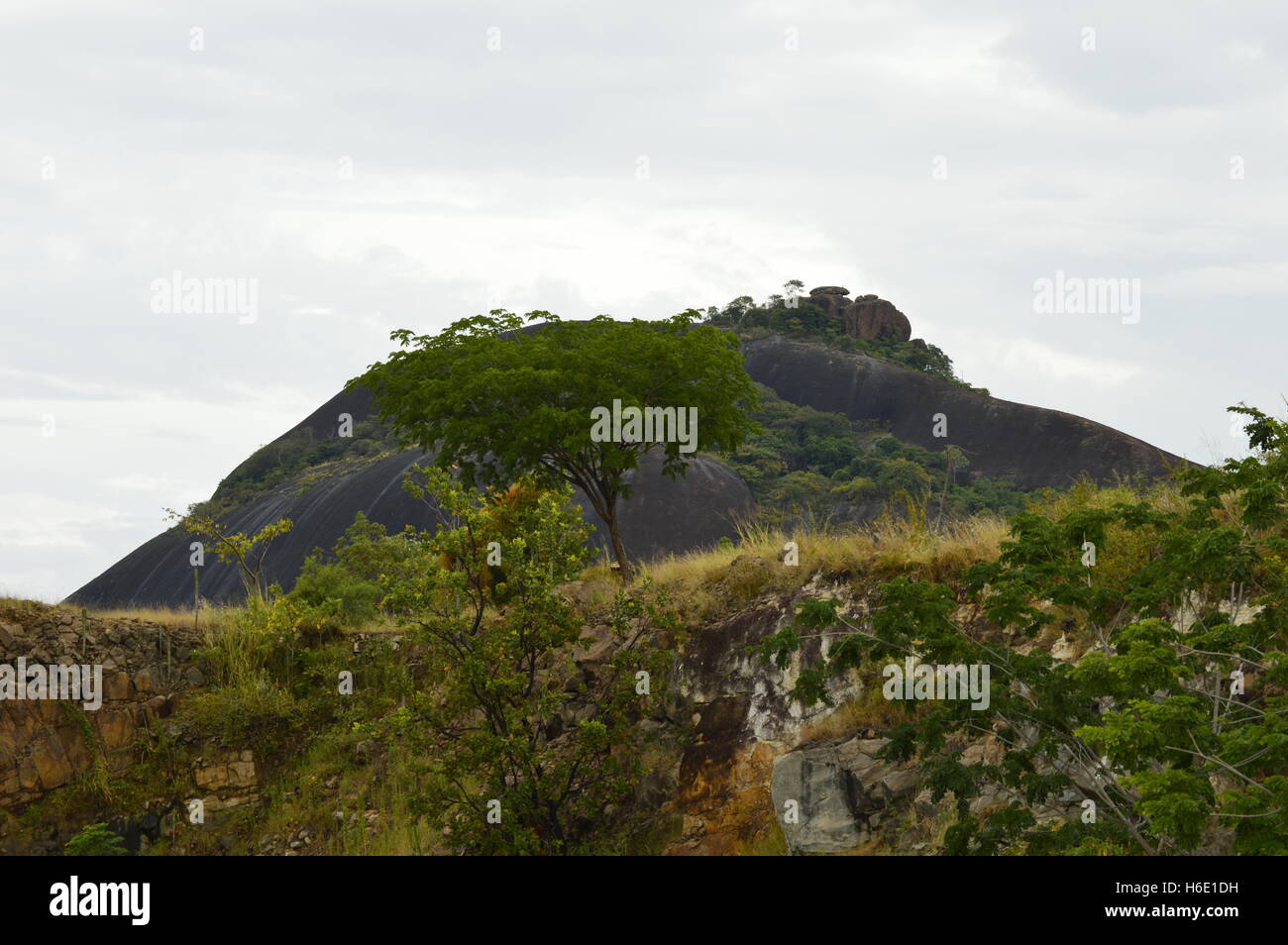 Stone Elephant, Venezuela Stock Photo - Alamy
