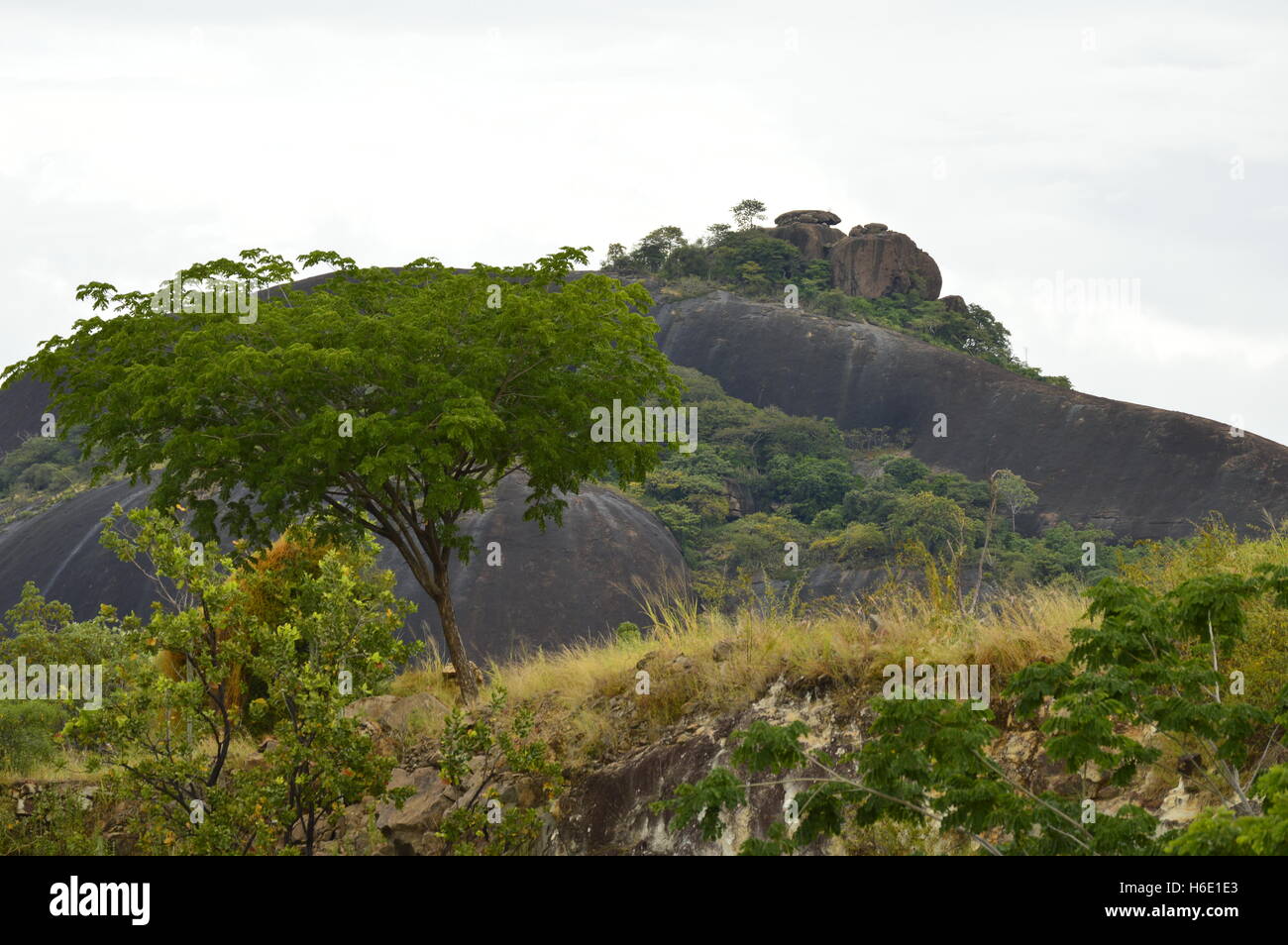 Precambrian era hi-res stock photography and images - Alamy