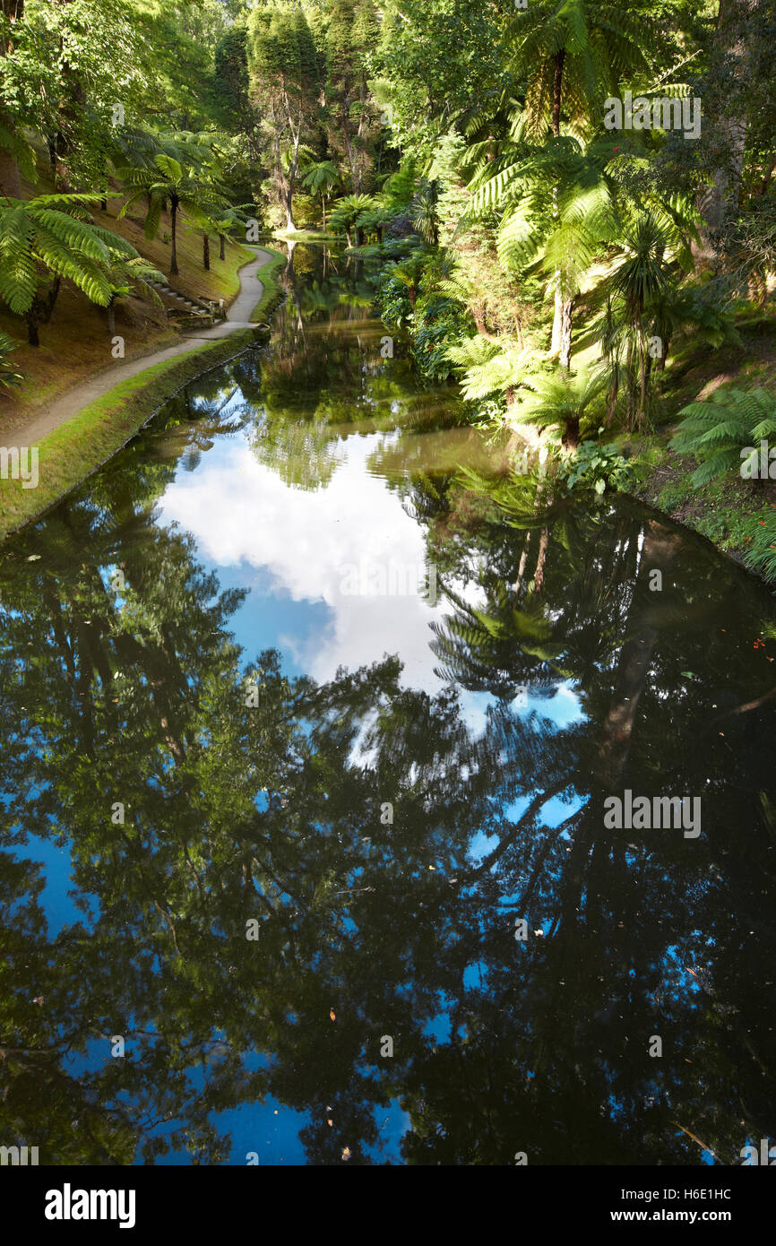 Lake, subtropical forest and pathway in Sao Jorge, Azores. Portugal ...