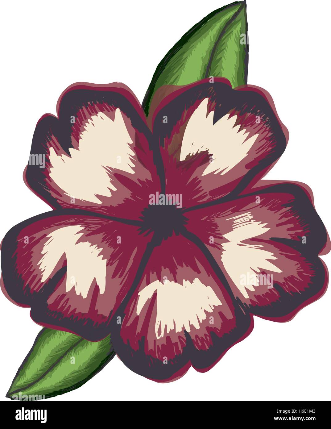 delicate flower drawing icon image vector illustration design Stock ...