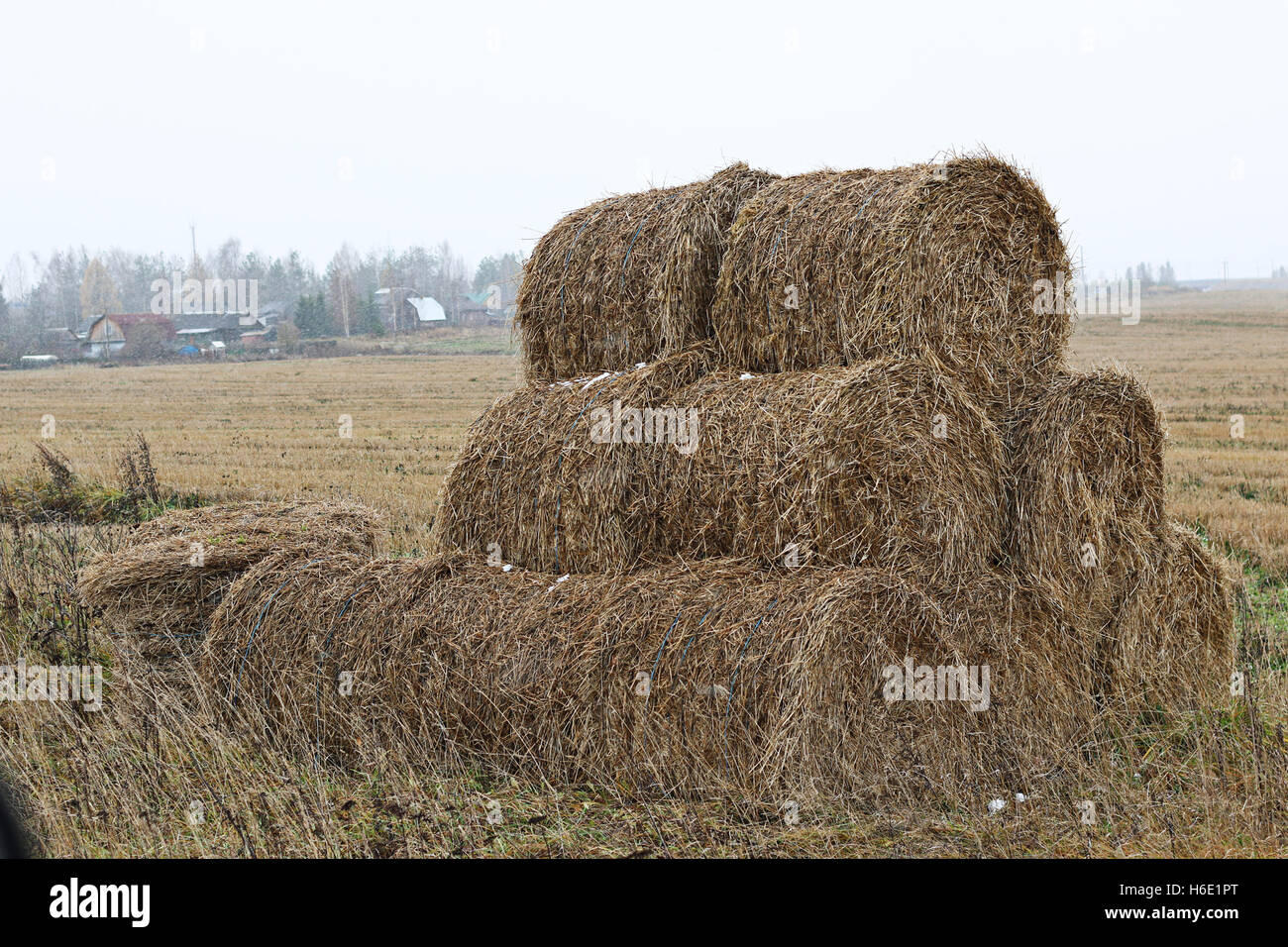 Fall field straw stack Stock Photo - Alamy