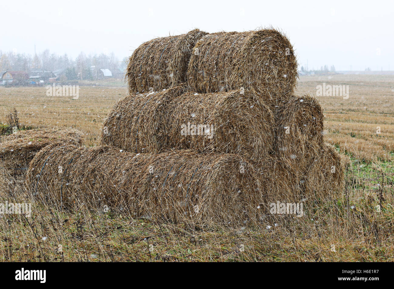 Fall field straw stack Stock Photo - Alamy