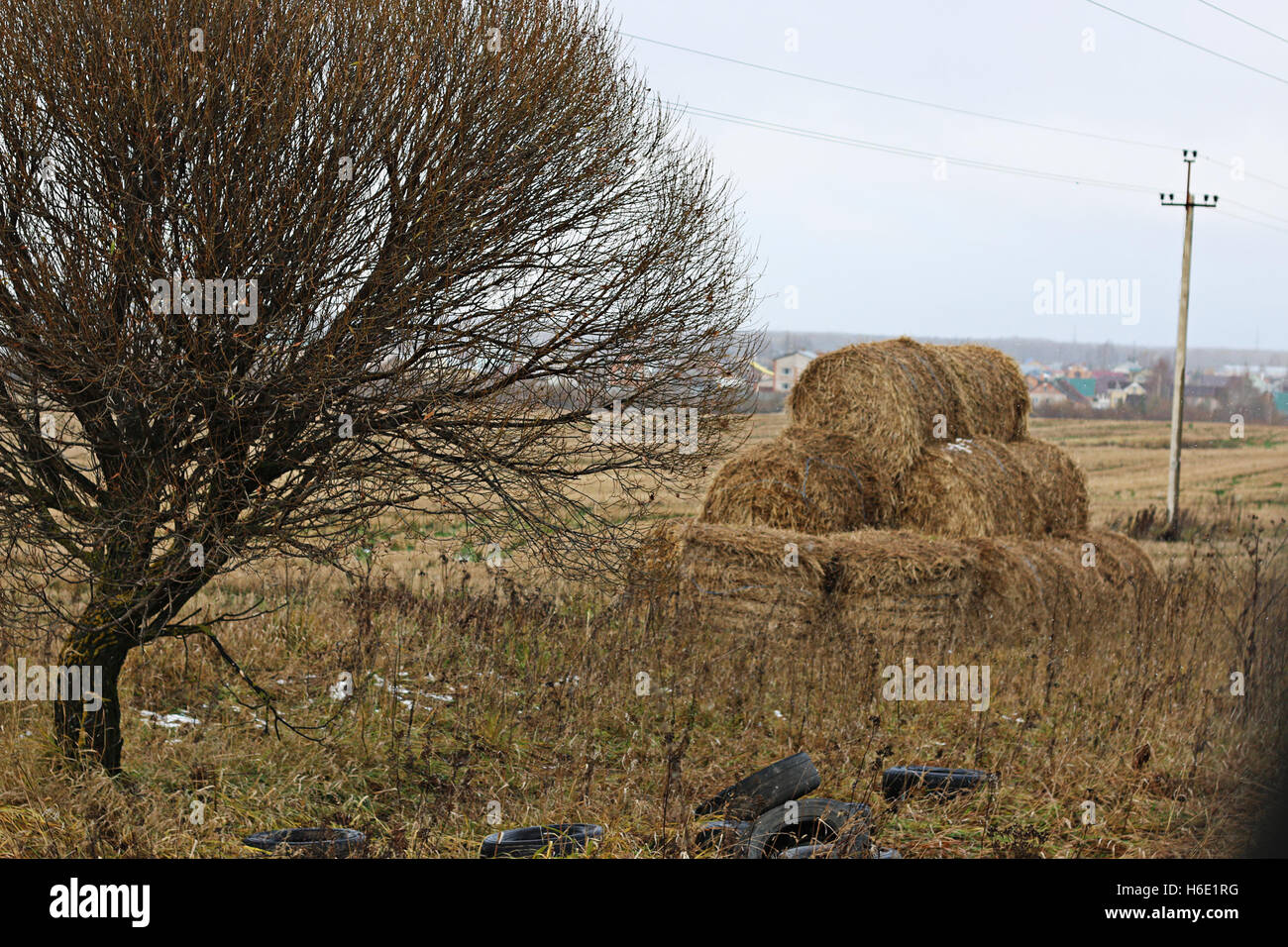 Fall field straw stack Stock Photo - Alamy