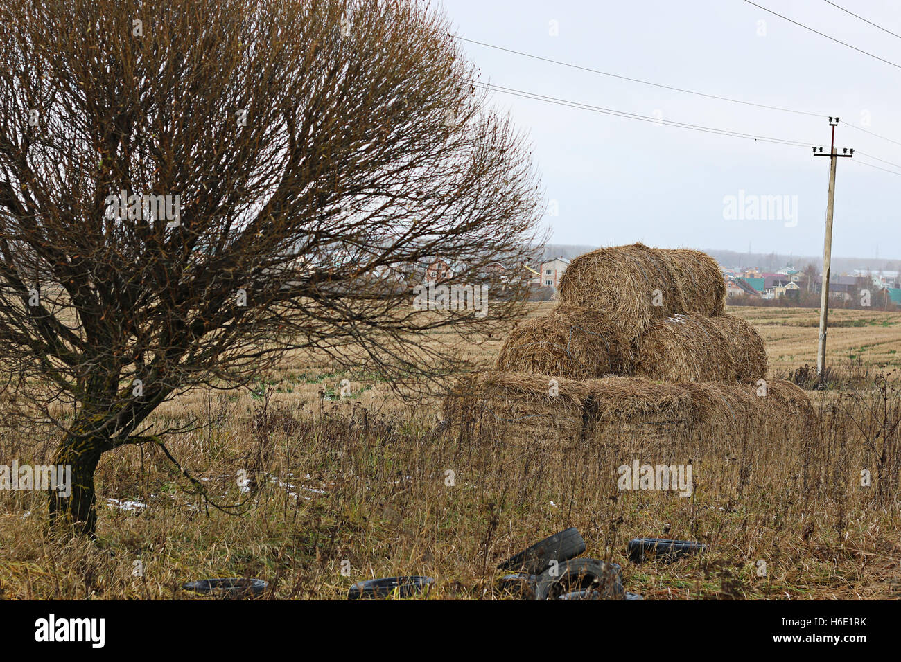 Fall field straw stack Stock Photo - Alamy