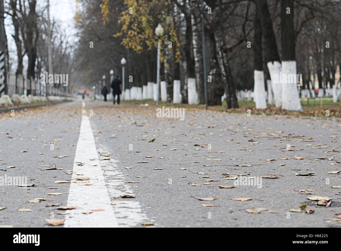 Perspective sidewalk in the park Stock Photo - Alamy