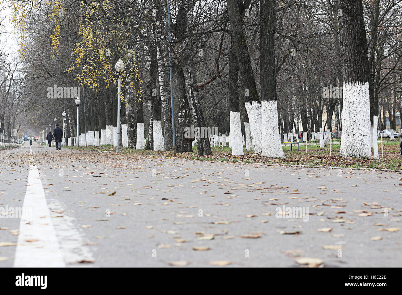 Perspective sidewalk in the park Stock Photo - Alamy