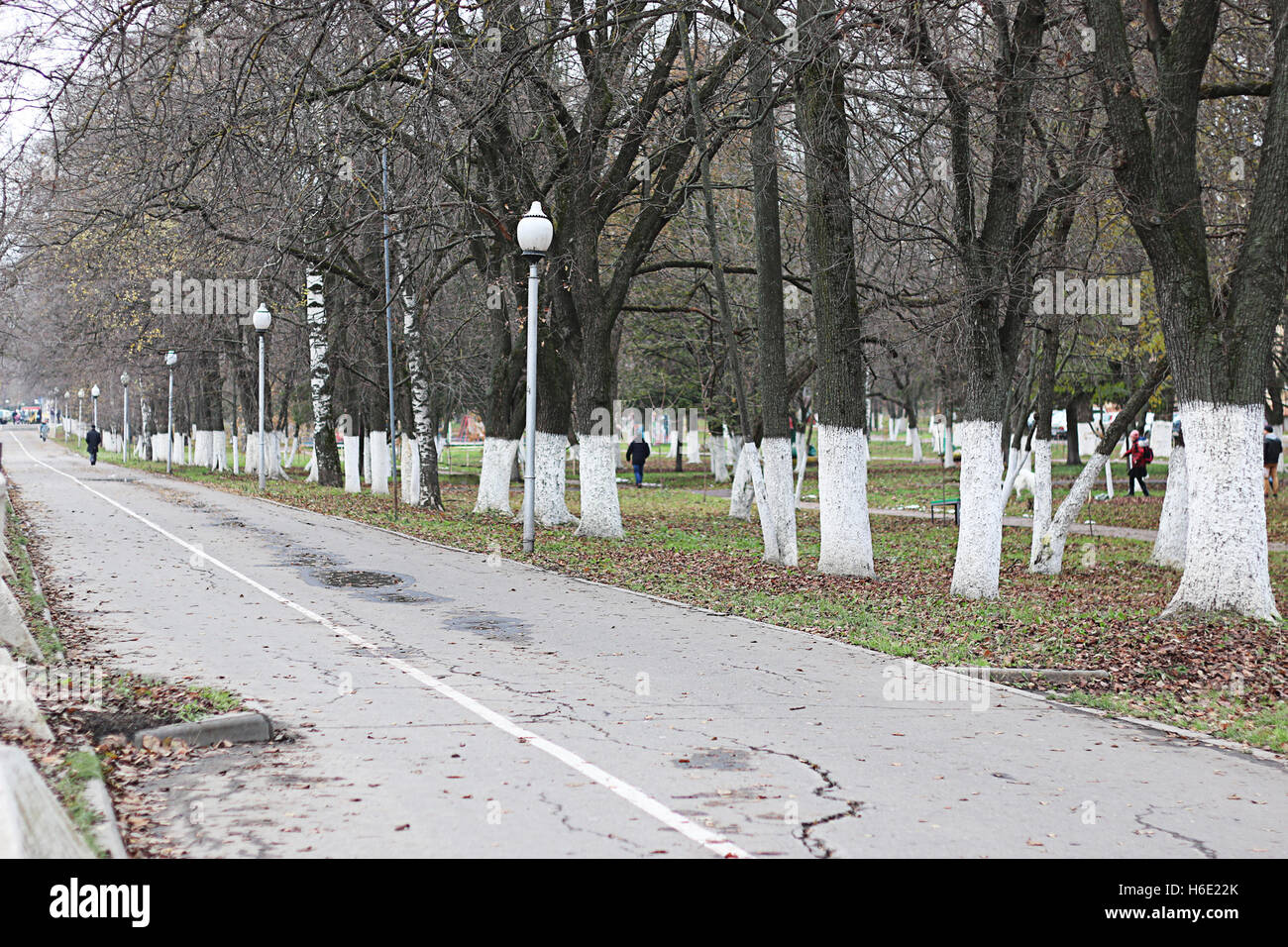 Perspective sidewalk in the park Stock Photo - Alamy