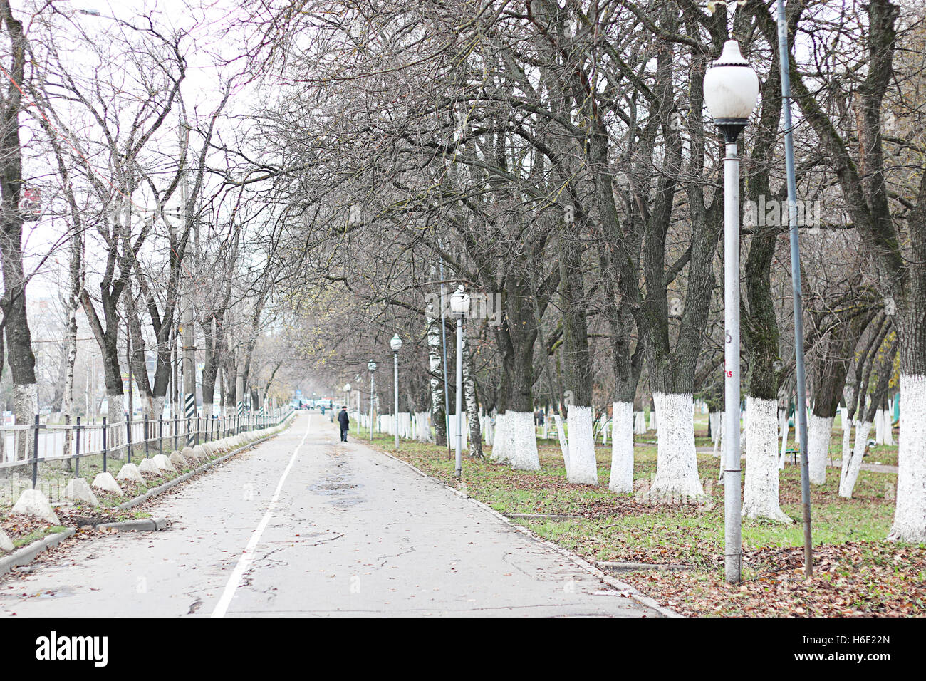 Perspective sidewalk in the park Stock Photo - Alamy
