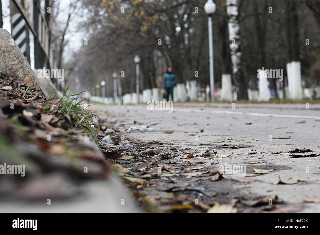 Perspective sidewalk in the park Stock Photo - Alamy