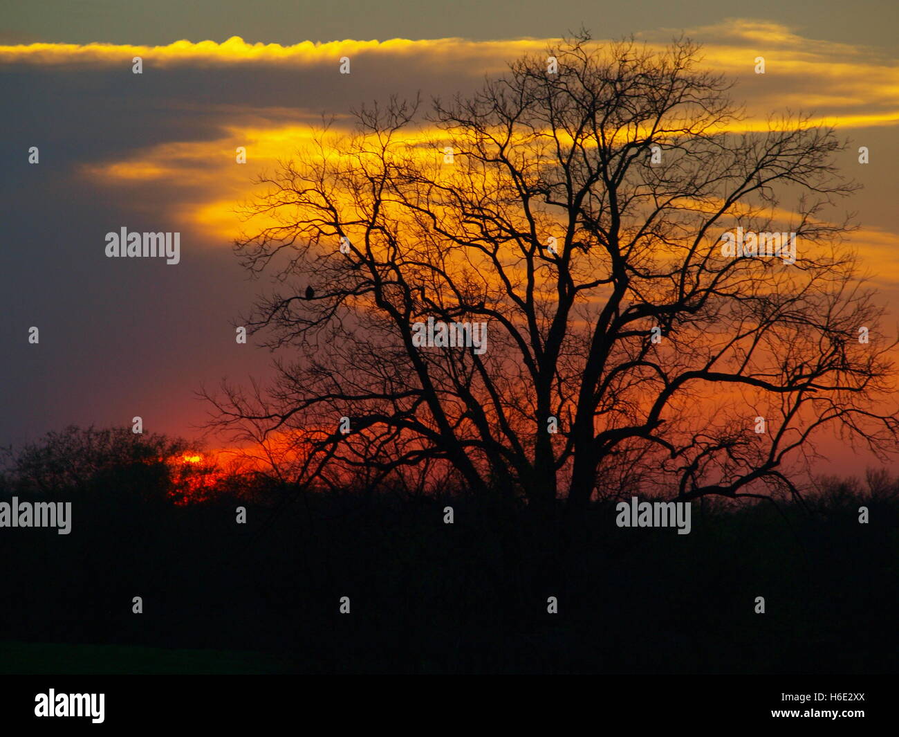Texas Winter Sunset Stock Photo - Alamy