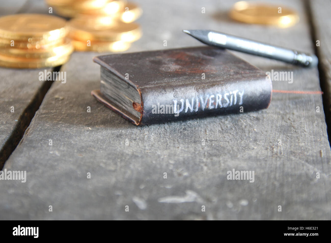 University inscription on the book, vintage style Stock Photo - Alamy