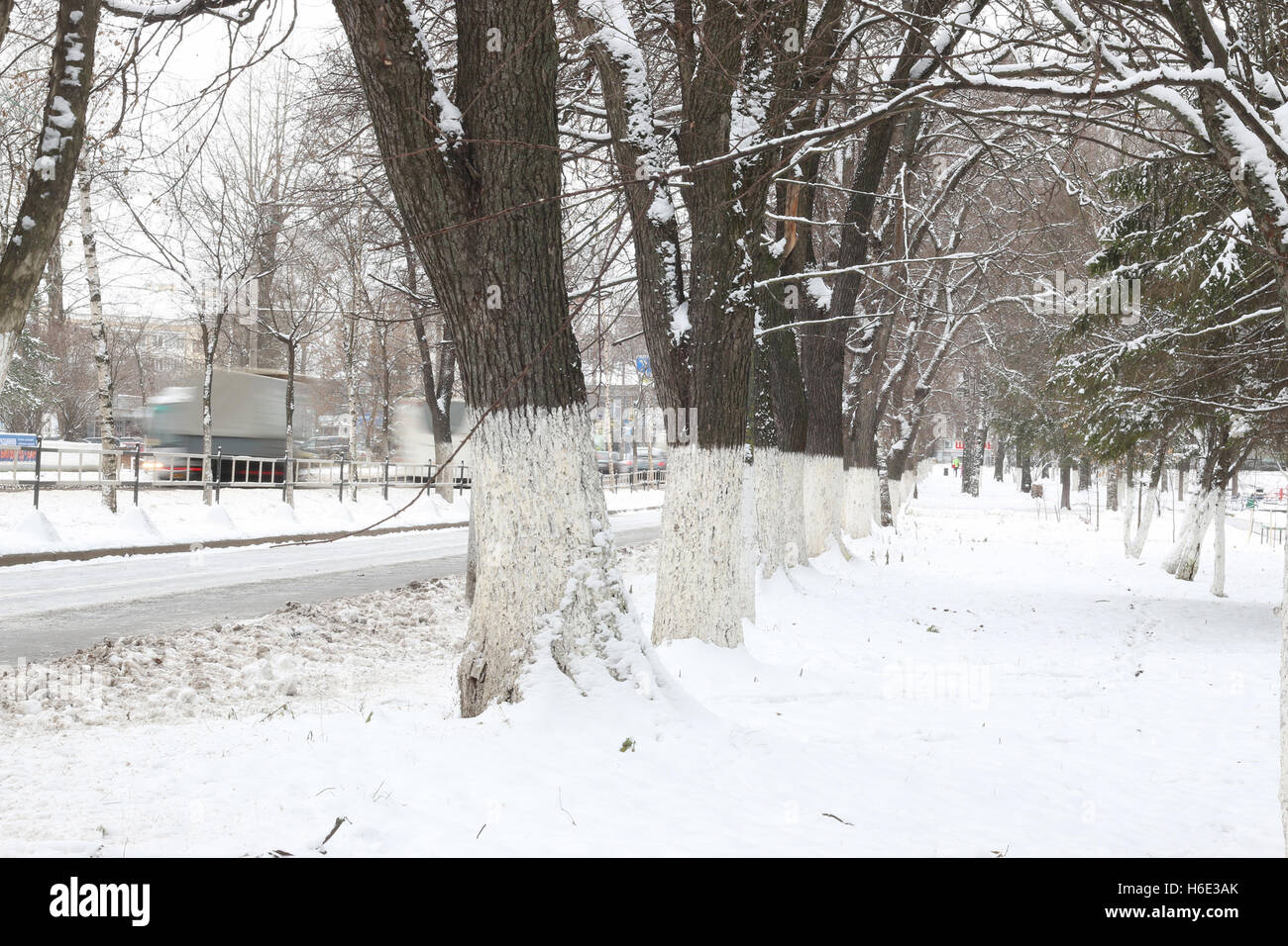 park winter trees and path Stock Photo - Alamy