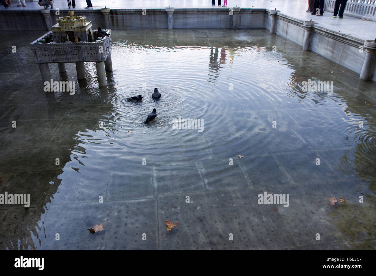 inside topkapi palace in istanbul turckey Stock Photo - Alamy