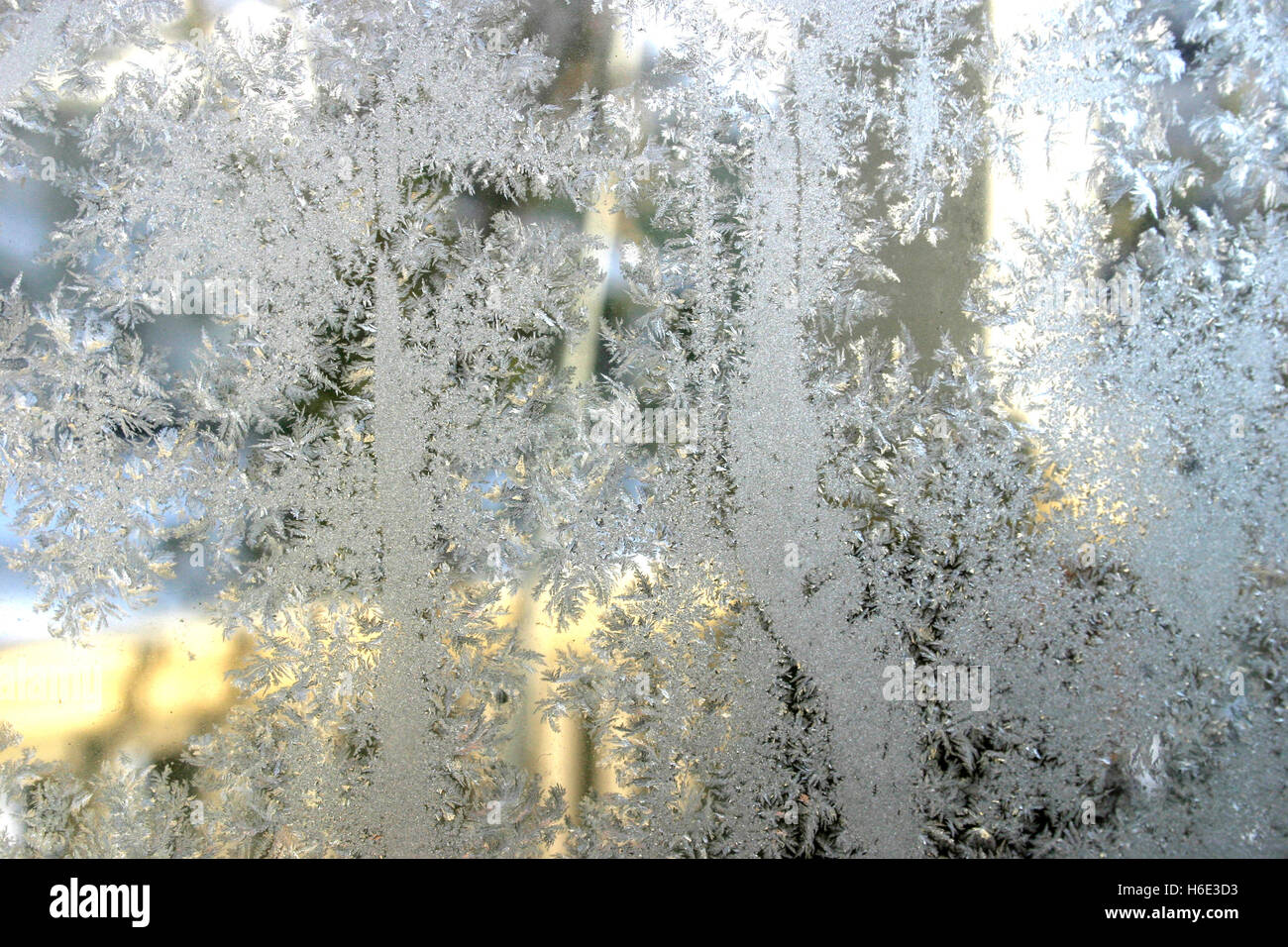 Artistic shapes created by nature, frozen windshield with feather like ...