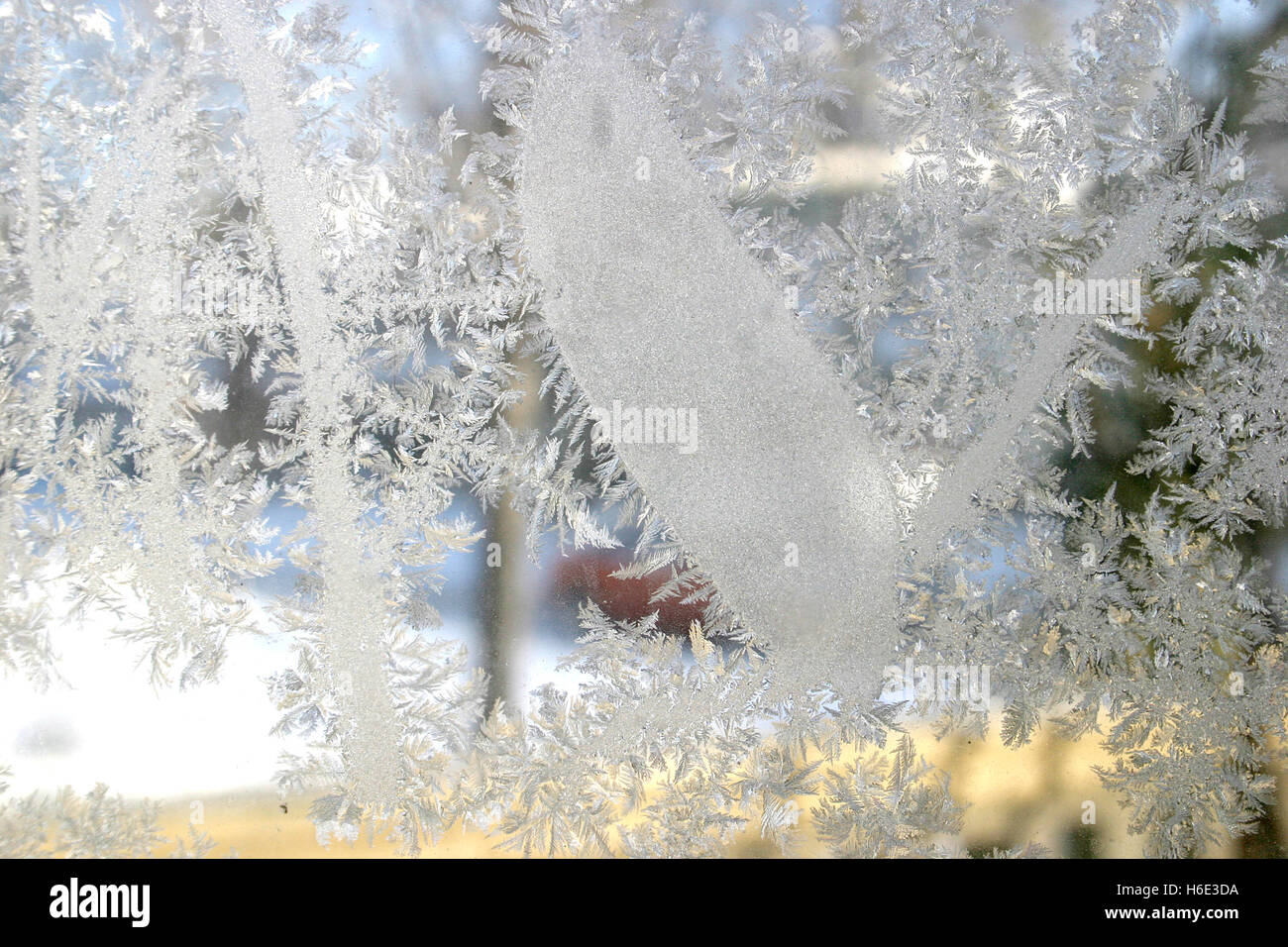 Artistic shapes created by nature, frozen windshield with feather like ...