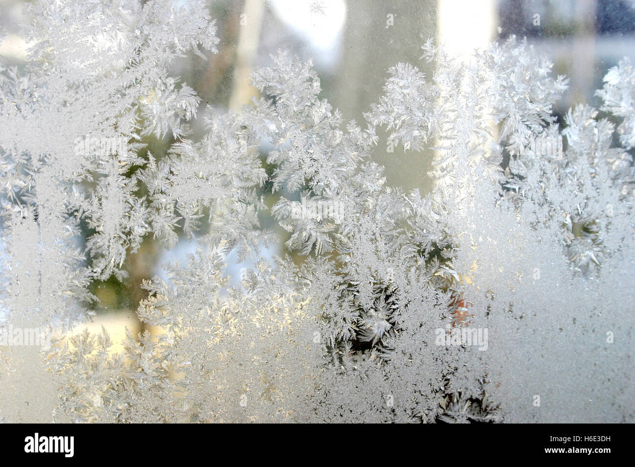 Artistic shapes created by nature, frozen windshield with feather like ...