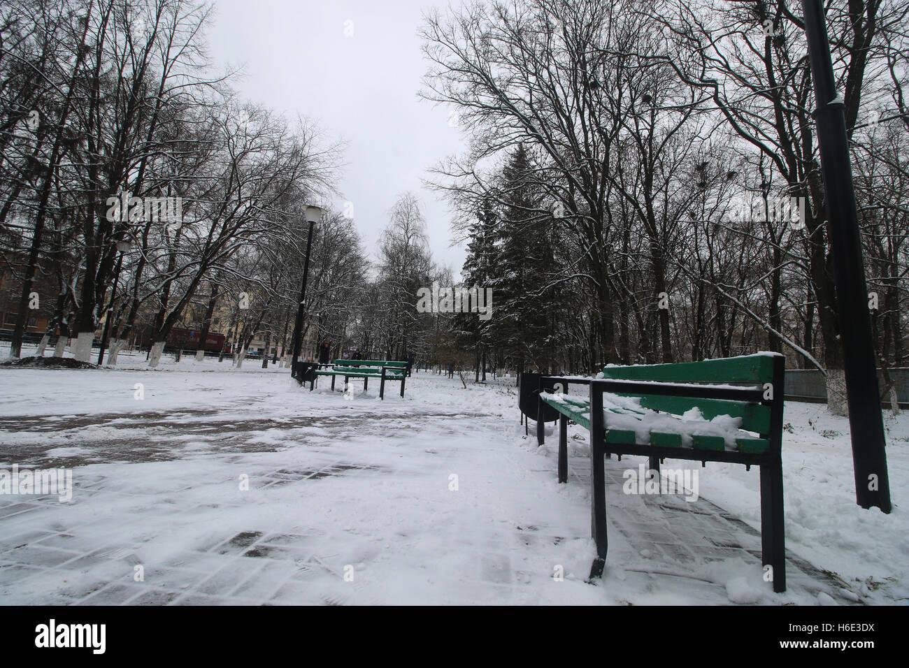 Winter bench in a park Stock Photo - Alamy