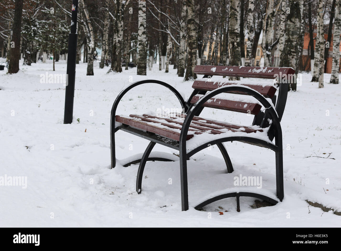 Winter bench in a park Stock Photo - Alamy