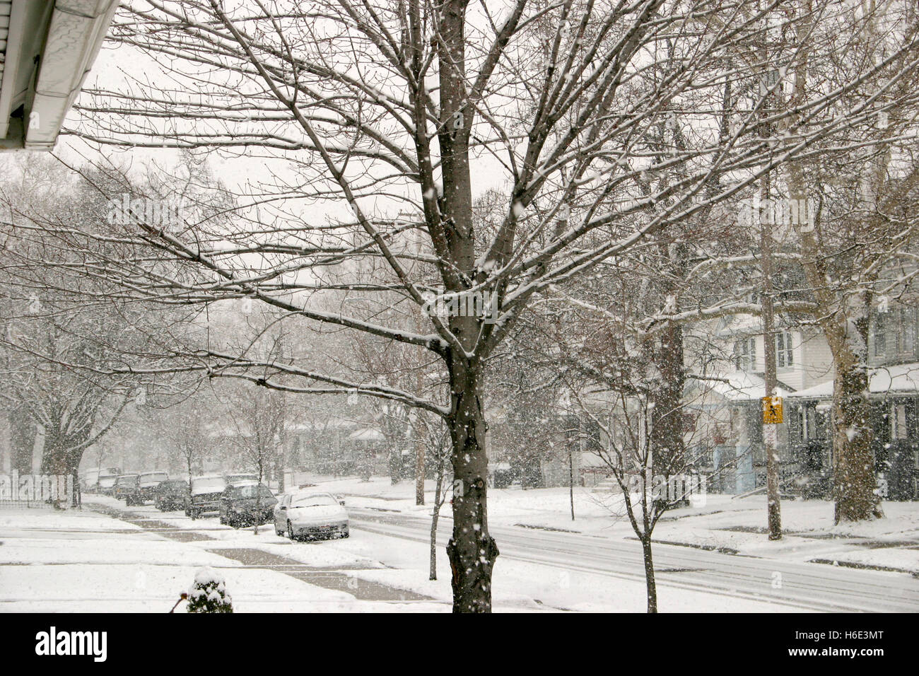 Street in Cleveland, Ohio, USA in snow storm Stock Photo - Alamy