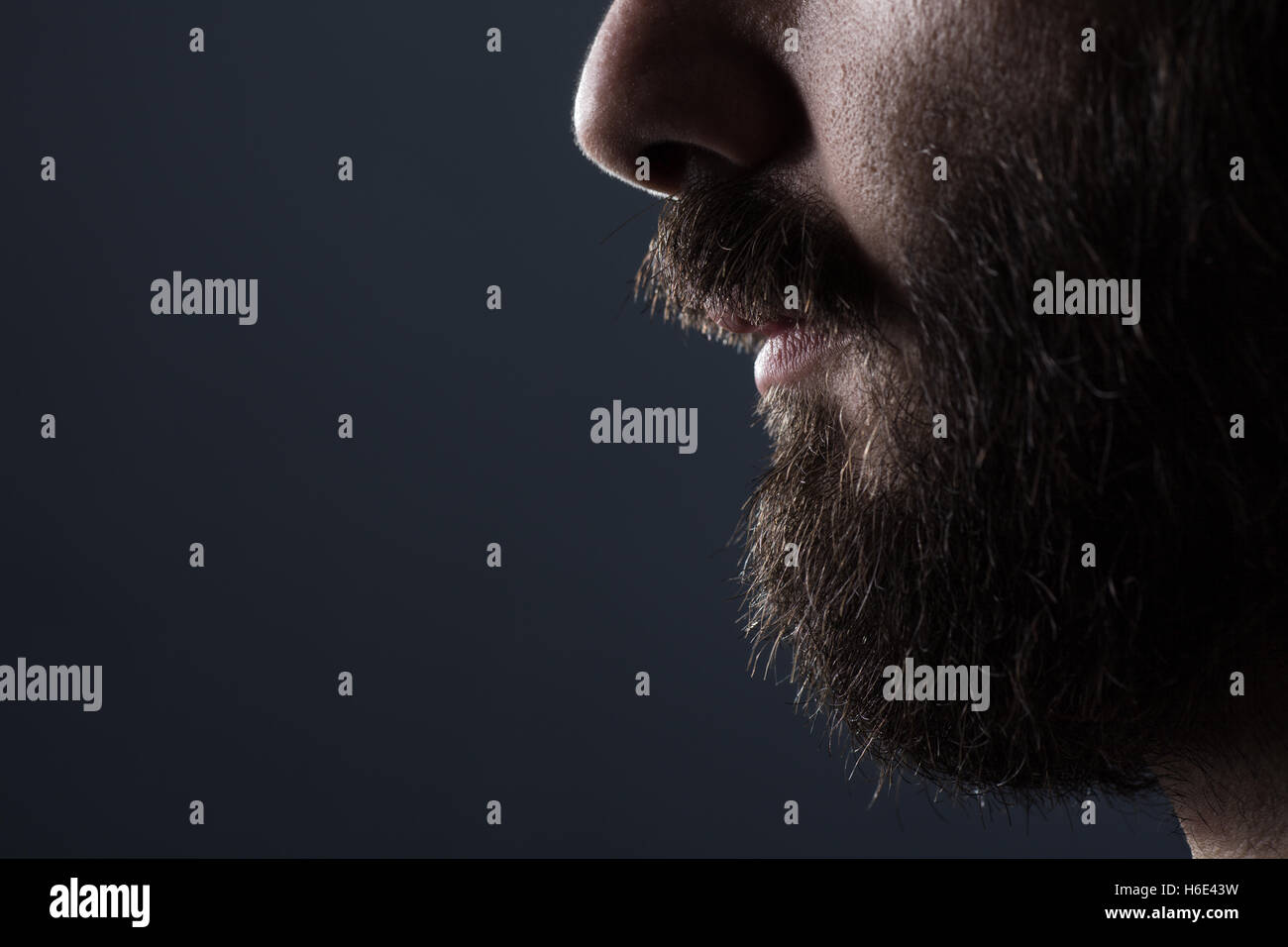 Profile Close Up of a Man with Brown Beard on Gray Background Stock ...