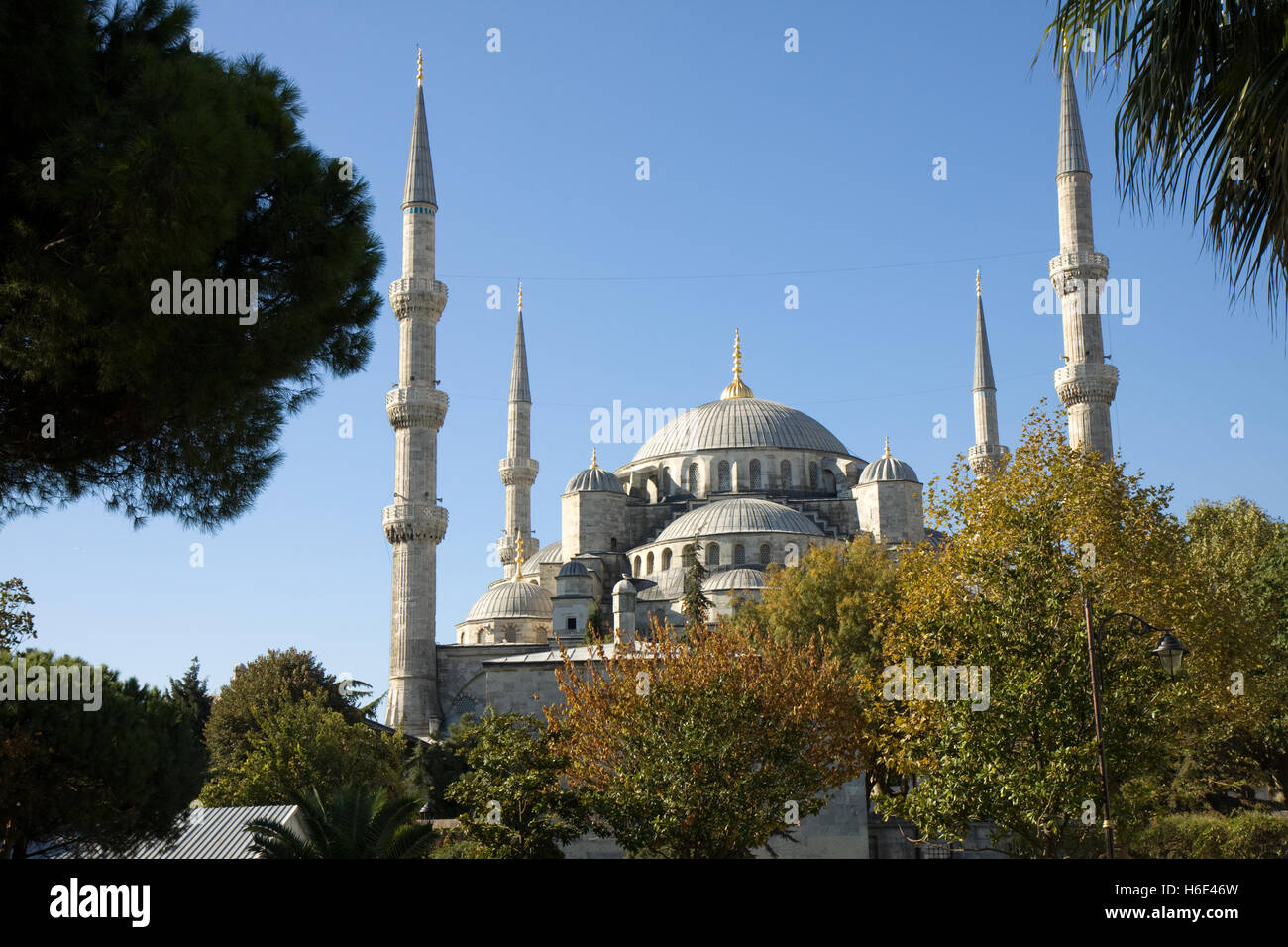 blue mosque in istanbul turkey Stock Photo - Alamy