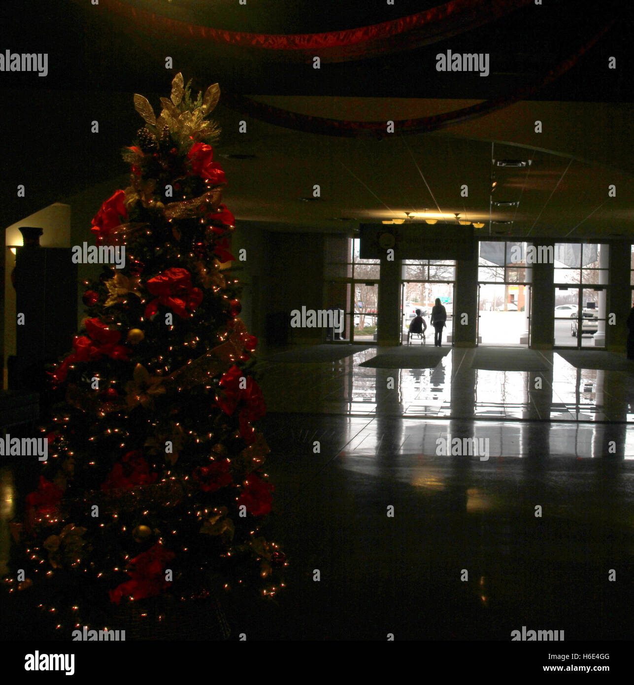 Display inside christmas tree hi-res stock photography and images - Alamy