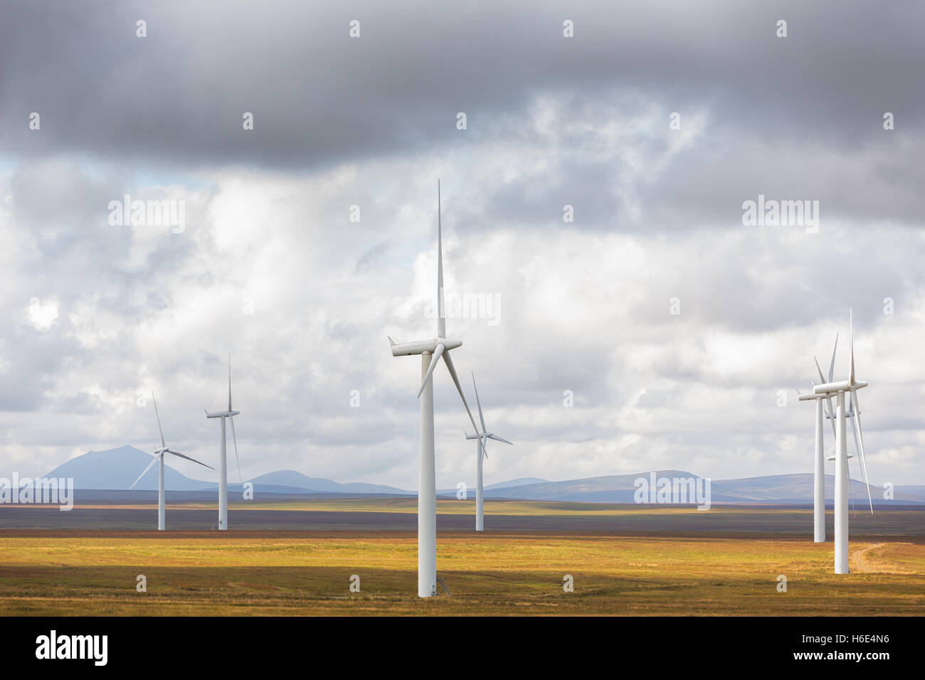 Causeguire Wind farm, south of Thurso, northern Scotland, Highlands, UK ...